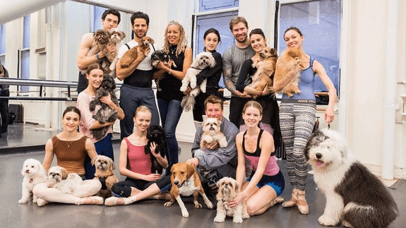 The Dog Days of Dancing at the American Ballet Theatre | CultureSonar